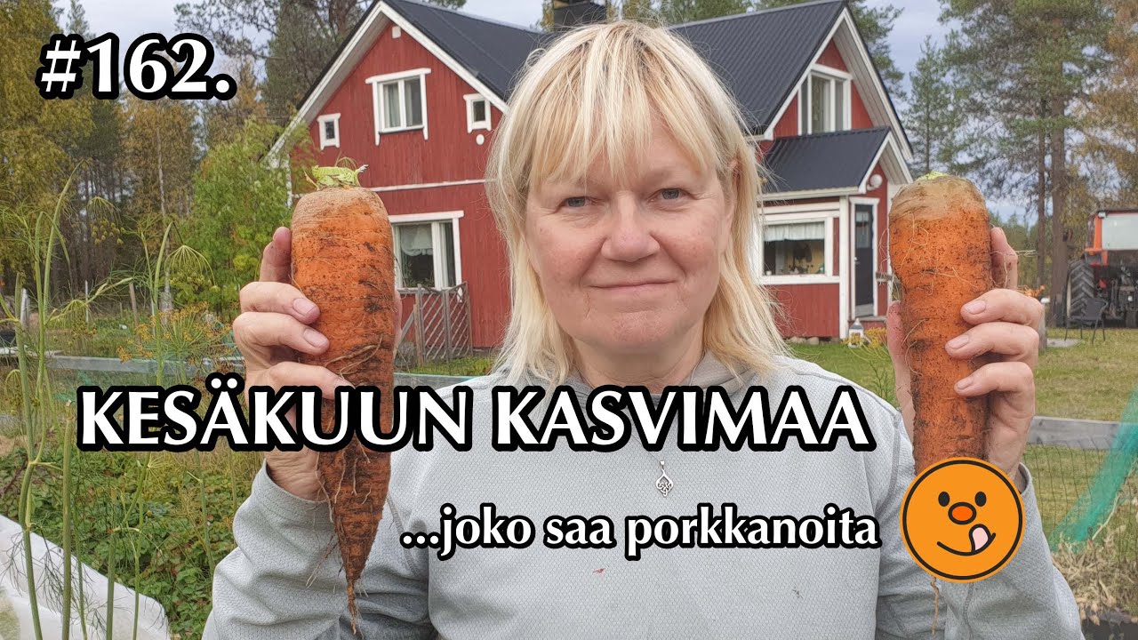Kesäkuun kasvimaa... Mitä kasvaa? @korpitalo #kasvimaa #omavaraisuus # ...