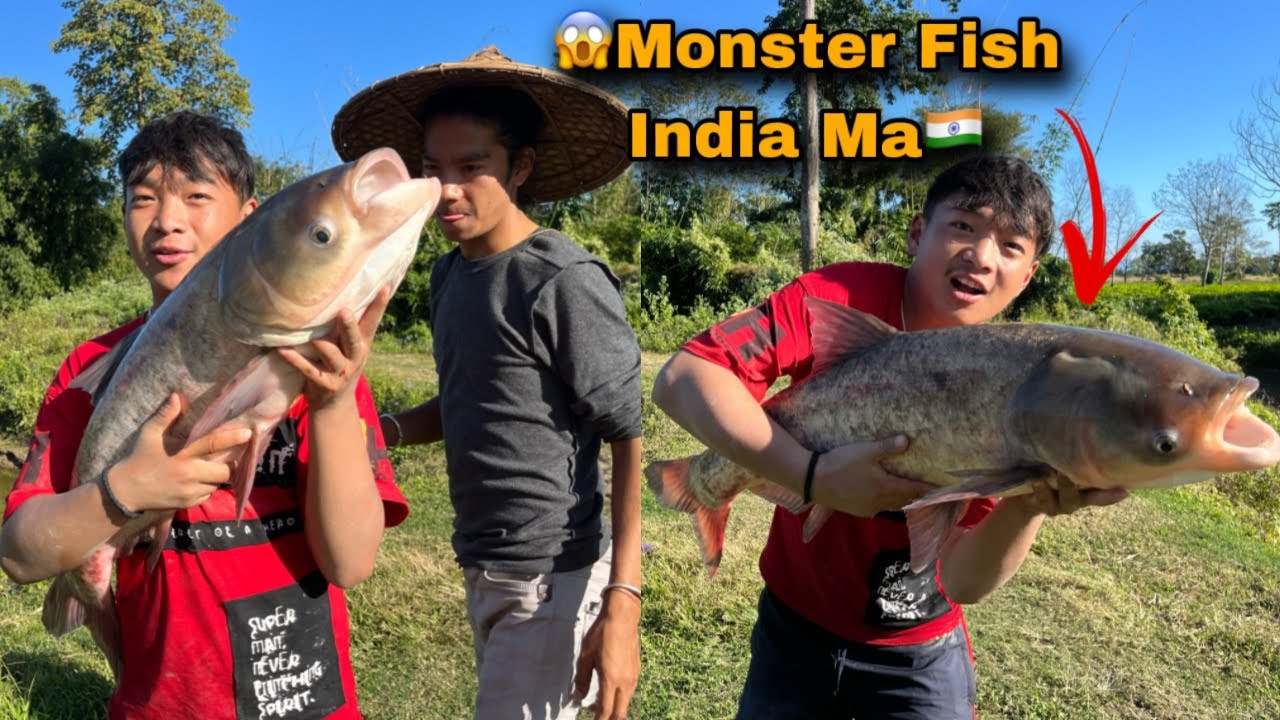 India ma😱||🇮🇳Monster Fish ko pakarliya🔥|| - YouTube