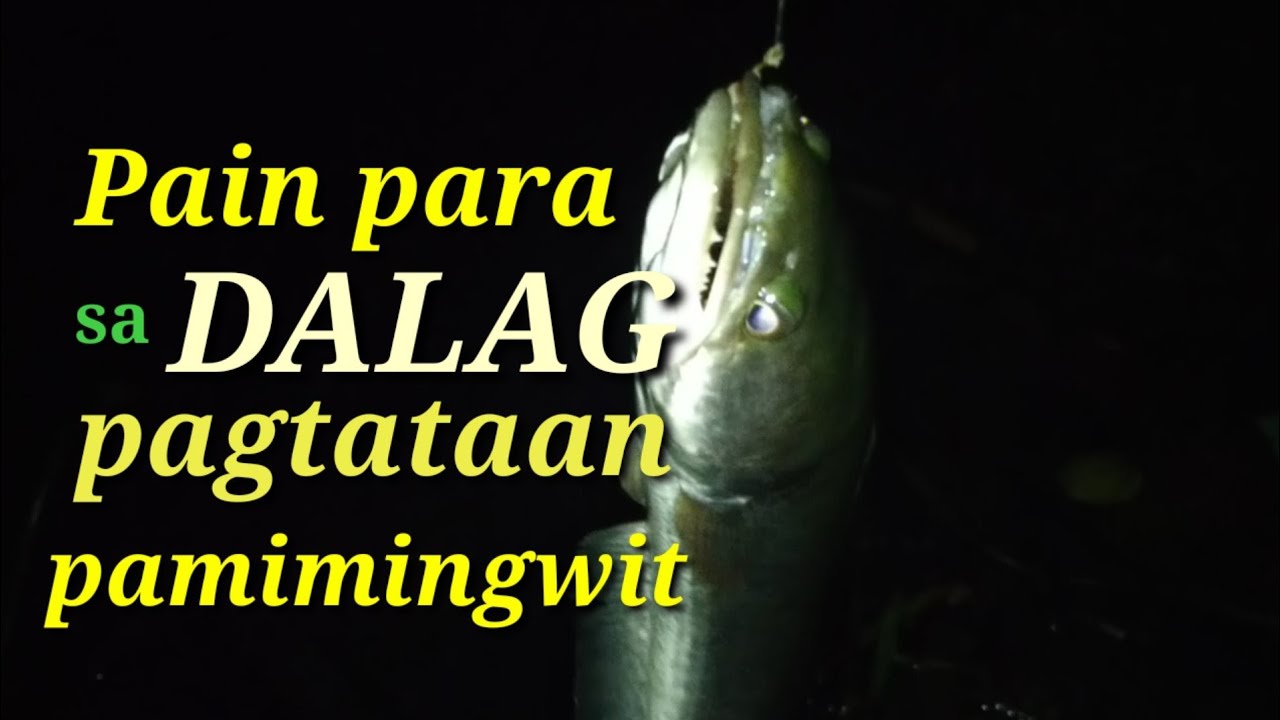 Pain para sa Dalag | Pagtataan o Pamimingwit ng Dalag | Night fishing ...