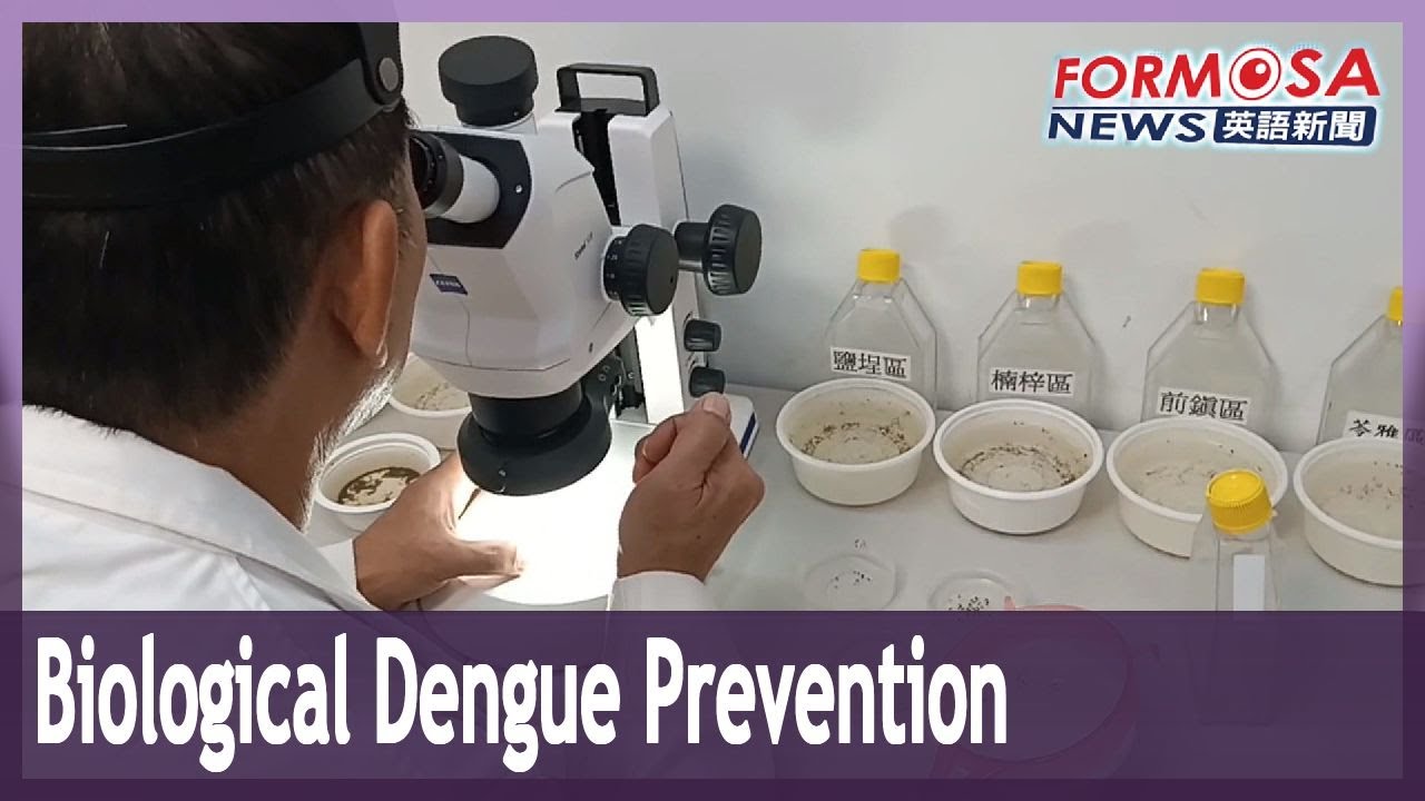 Kaohsiung exploring biological pest control methods to curb dengue ...
