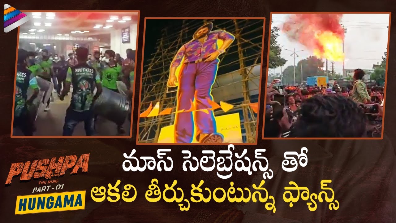 Pushpa Fans Mass Hungama | Pushpa Celebrations | Allu Arjun | Rashmika ...
