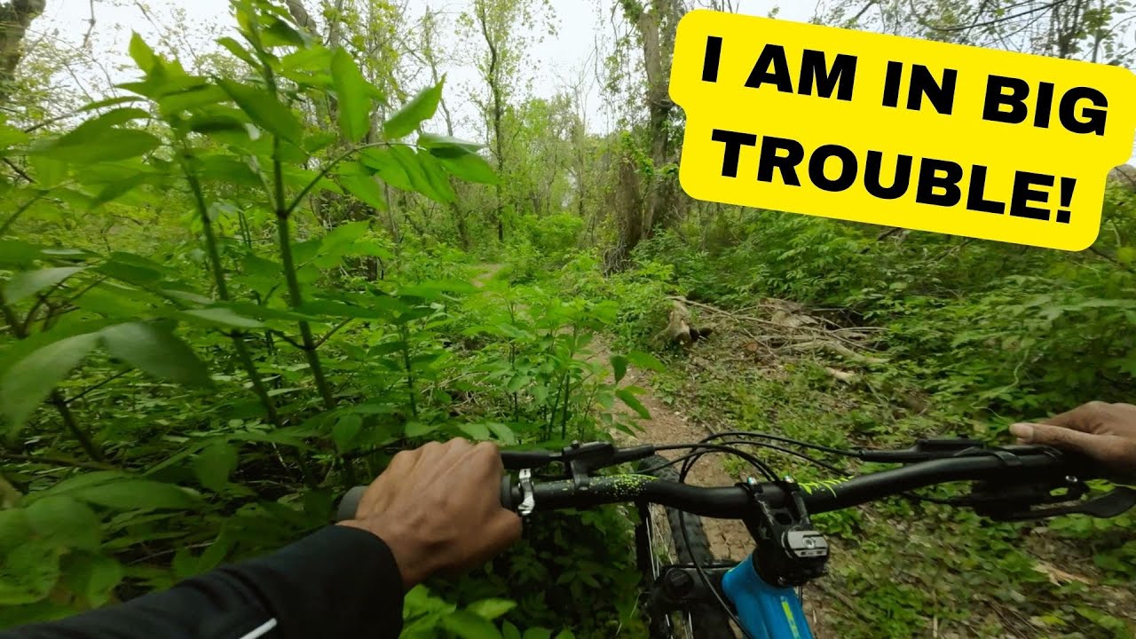 Same Trail... Different BUSHES |OYSTER CREEK| - YouTube
