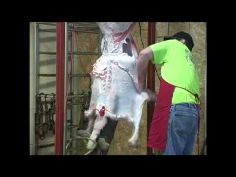Air Skinner in Action 2 - YouTube