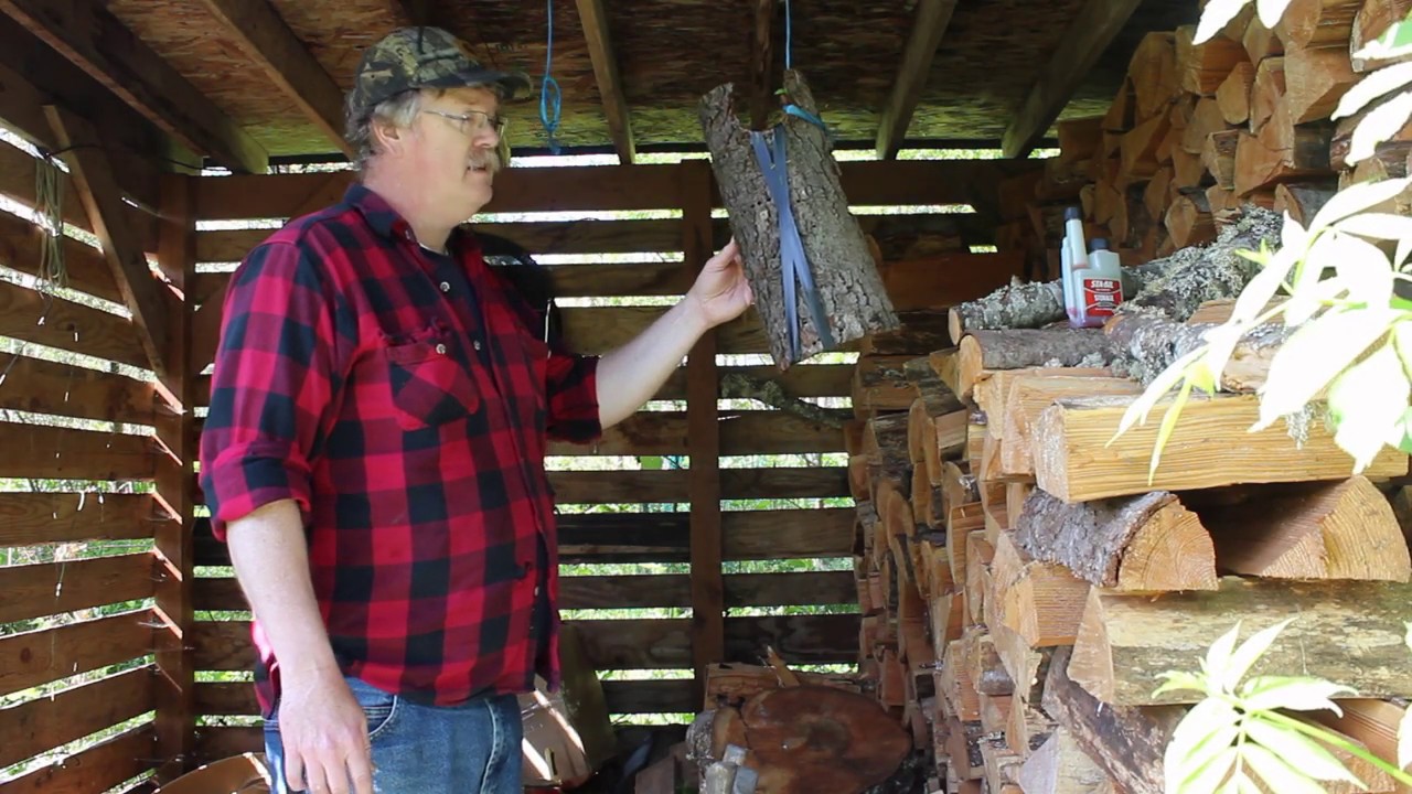 Catch And Cook - YouTube