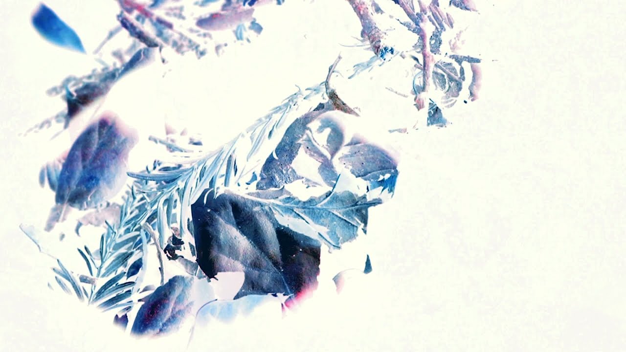 Sharon Dolin and Gemma Gorga read from Late to the House of Words - YouTube