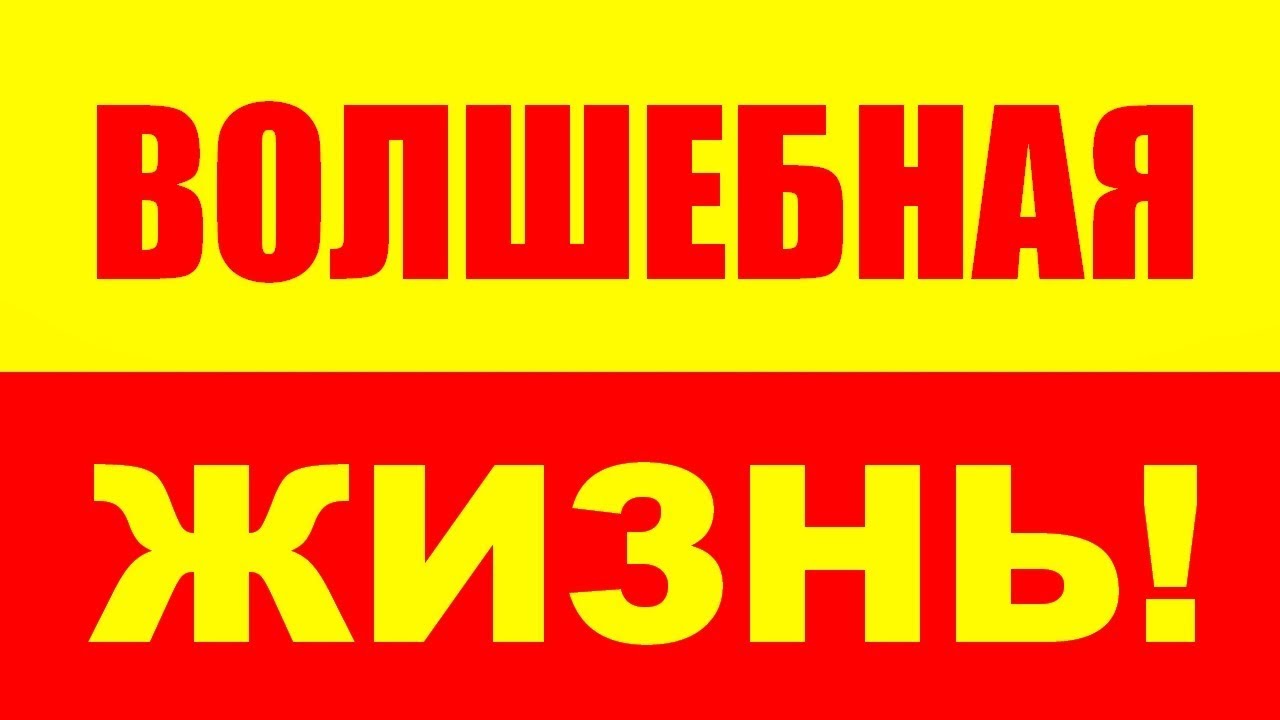 Как не прожить жизнь зря Youtube