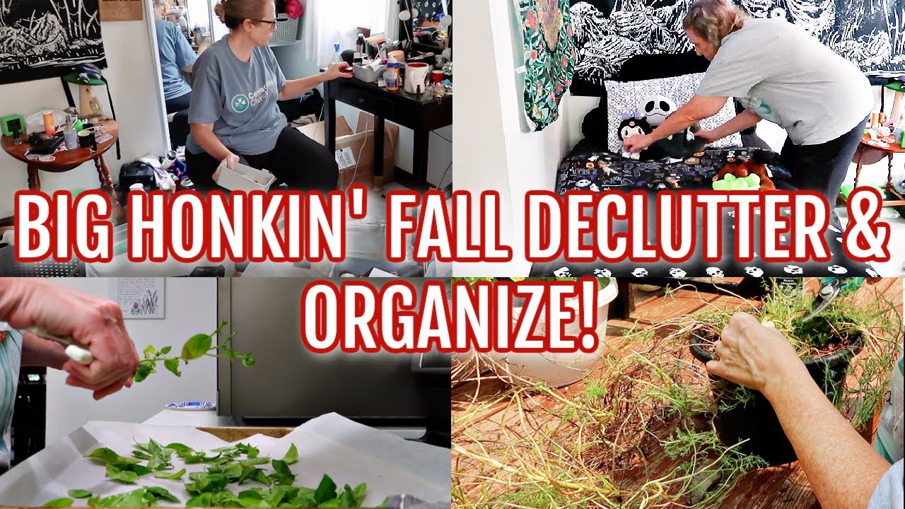 Fall BIG time teen bedroom declutter & green declutter! - YouTube