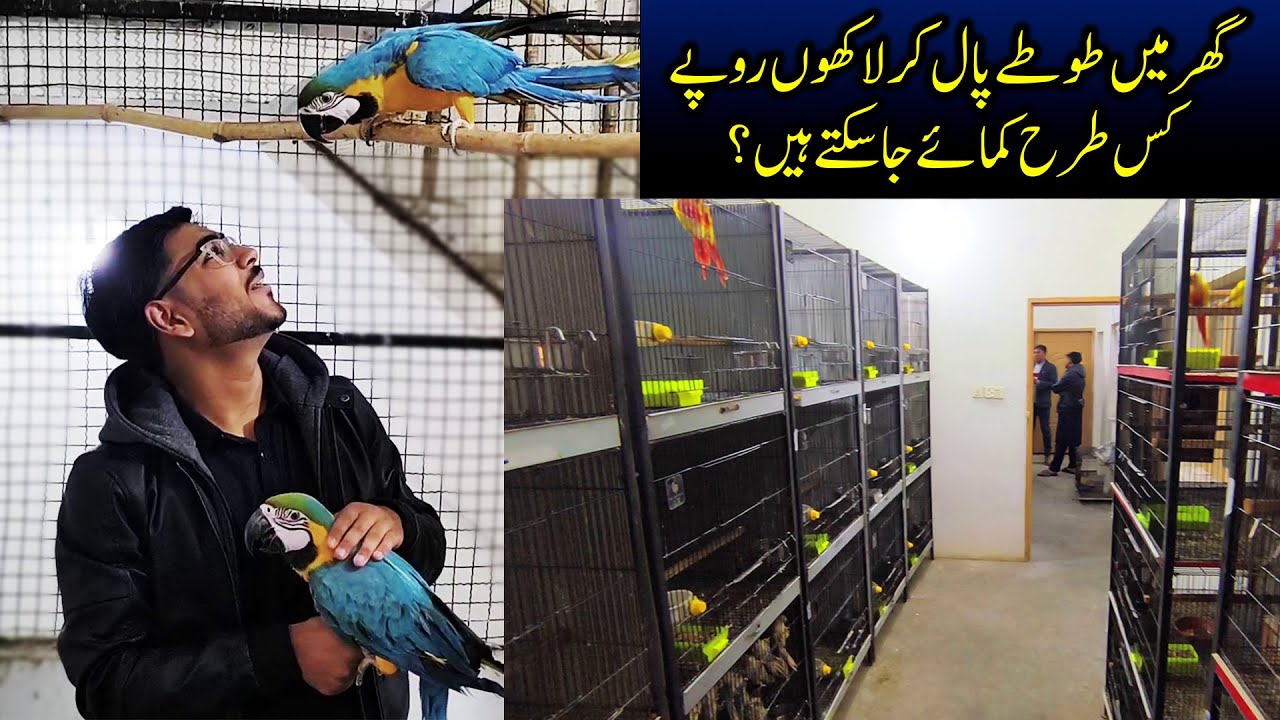From Passion to Profit | Meet Ibrahim Who is Earning Millions from ...