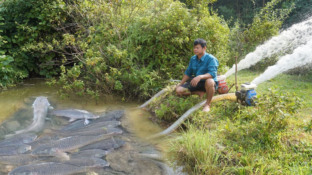 Fishing video: Catch fish with 2 large capacity gasoline pumps - Catch ...