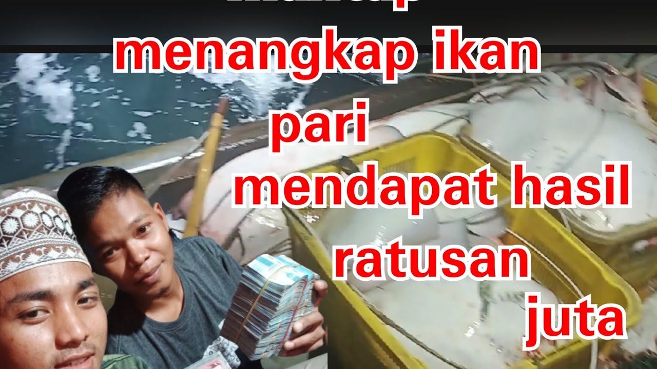 RAWAI SENGGOL IKAN PARI KEMBALI MENDAPAT HASIL RATUSAN JUTA - YouTube