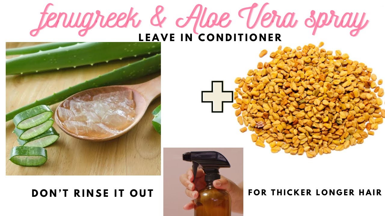 Diy Fenugreek And Aloe Vera Spray Fast Hair Growth Treatment Fenugreek