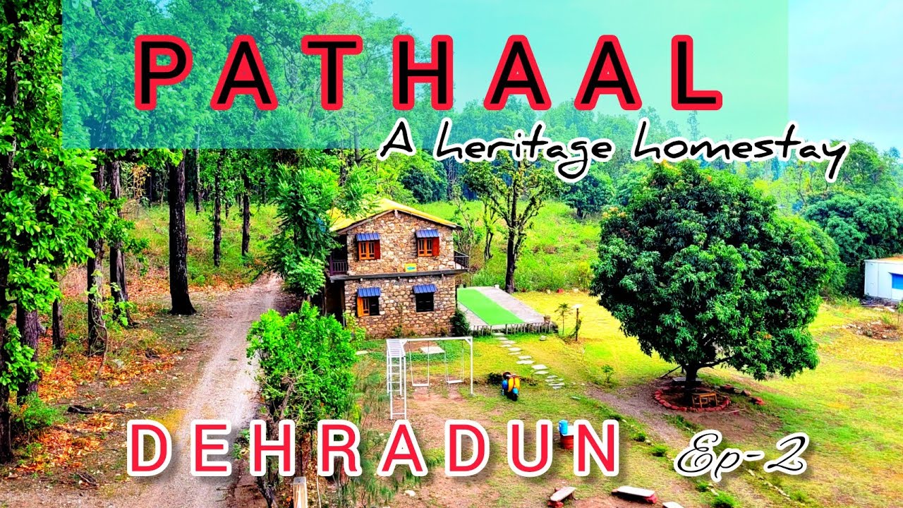 How I got my 1st free stay in Dehradun Pathaal cottage|Dehradun Budget ...
