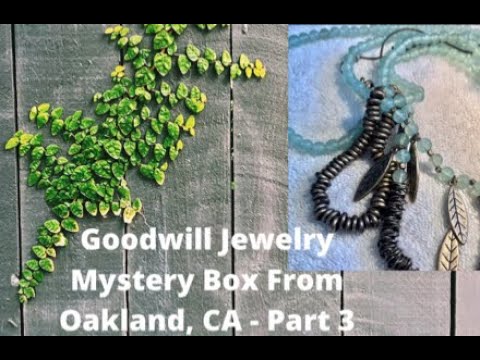 Goodwill Jewelry Mystery Box Unboxing From Oakland, California - Part 3 ...