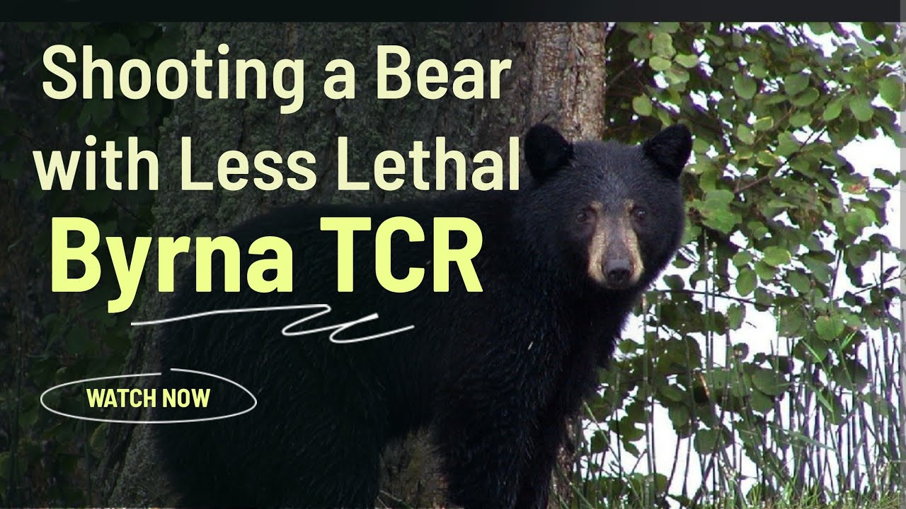 Less Lethal vs. Black Bear: Byrna TCR Chemical Rounds: Edited into one ...