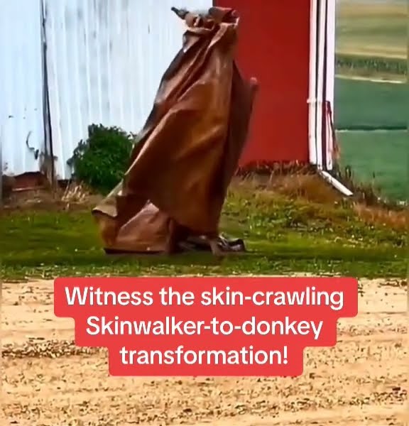 Skinwalker to donkey transformation😱😱😱😱 - YouTube