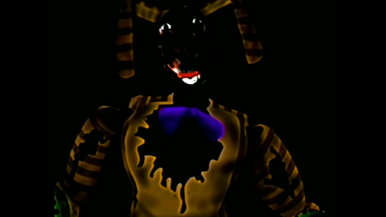 Pumpkin Rabbit sells out - YouTube