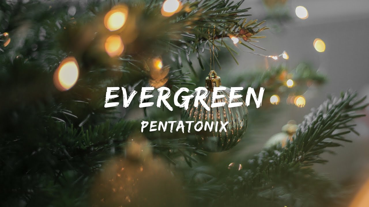 Evergreen｜Pentatonix｜Lyrics Video｜Christmas Song - YouTube