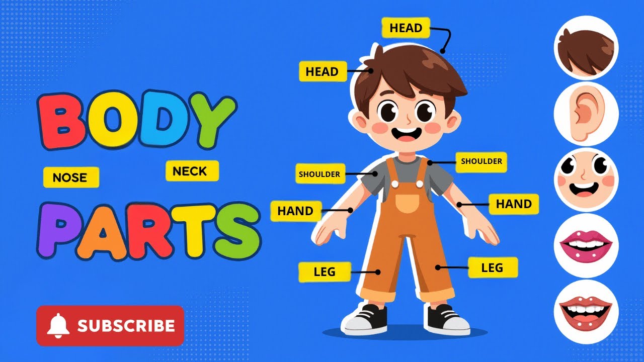 Basic English Grammar [L2 U4-S4]: My Body | Learn Human Body Parts ...