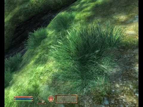 Oblivion in Max Graphics - YouTube