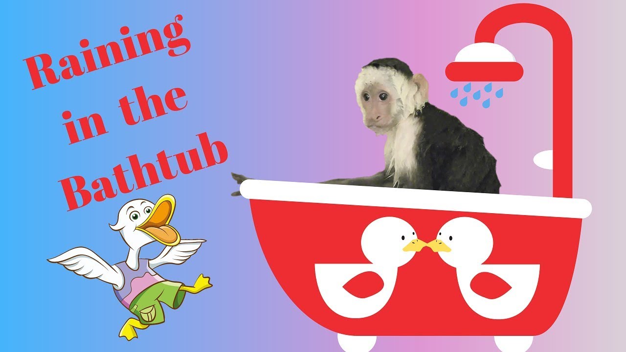 The Secret to Giving a Pet Monkey a Bath! - YouTube