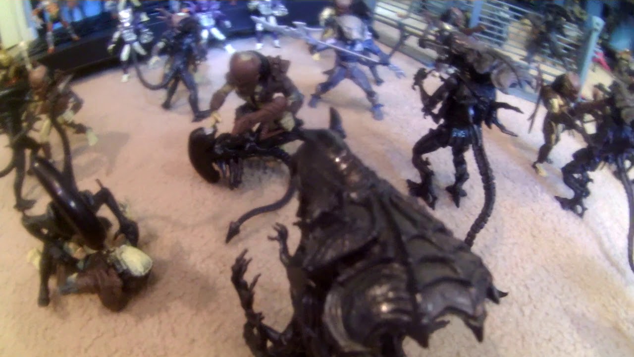 Phantom Collection ALIENS vs PREDATOR vs HALO - YouTube
