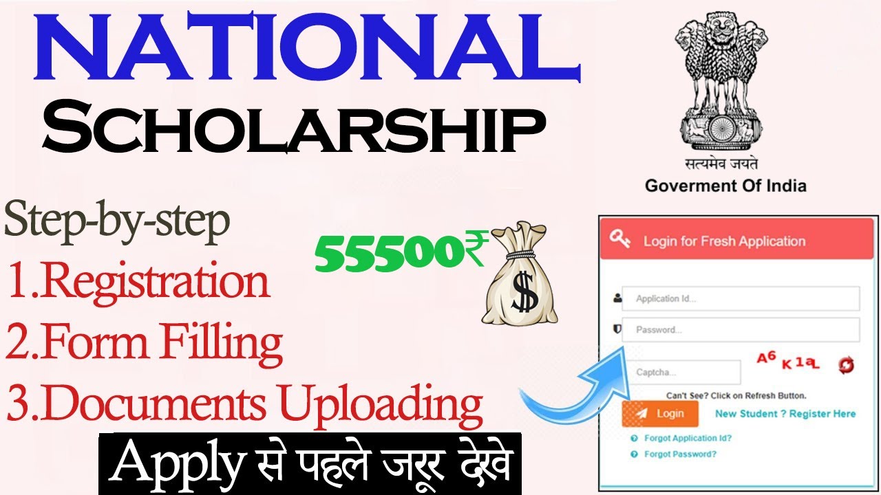 How To Fill Scholarship On Nsp 2021 22 Post Metric Registration Form
