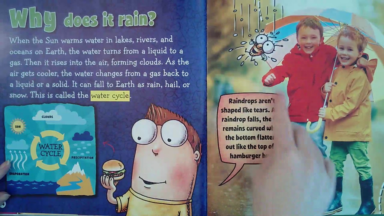 All About Book- fact box - YouTube