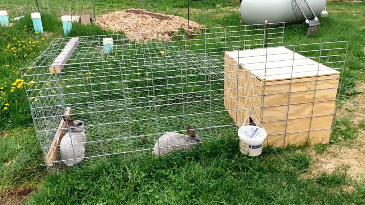 Easy build 3x7 foot rabbit tractor with anti dig modification near end ...