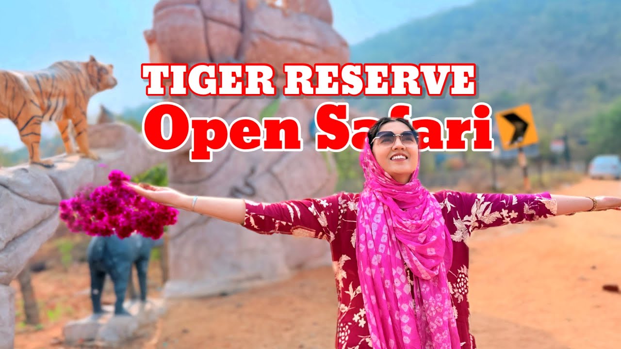 Tiger Reserve Safari, Octopus Viewpoint Aur Pattal Ganga – Ek Zabardast ...