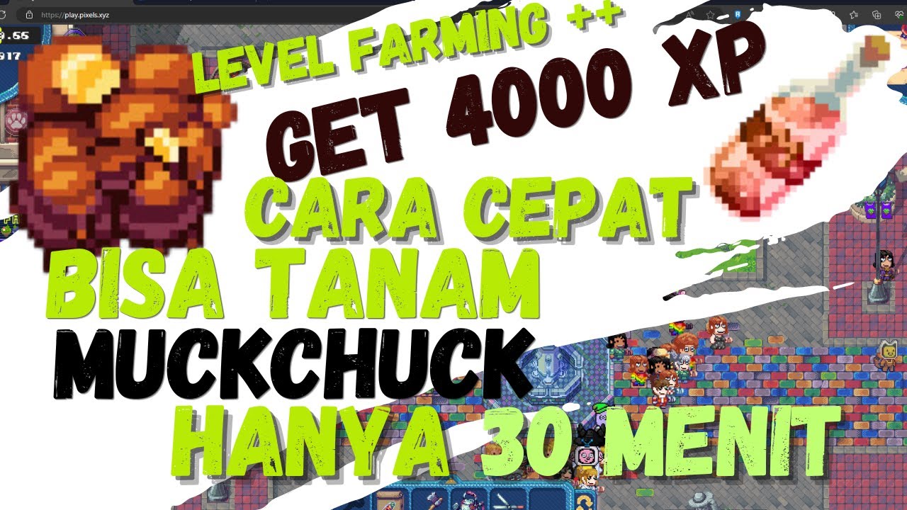 Cara Cepat dapat 4000 XP level Farming, 30 Menit Buka Level Muckchuck ...
