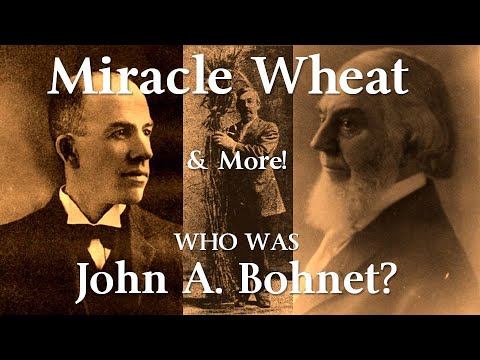 Miracle Wheat and More: Who Was John A. Bohnet? (Discussion 20, Part 1 ...