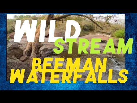 Beautiful Beeman Waterfalls, JAWADHU HILLS .(3) - YouTube