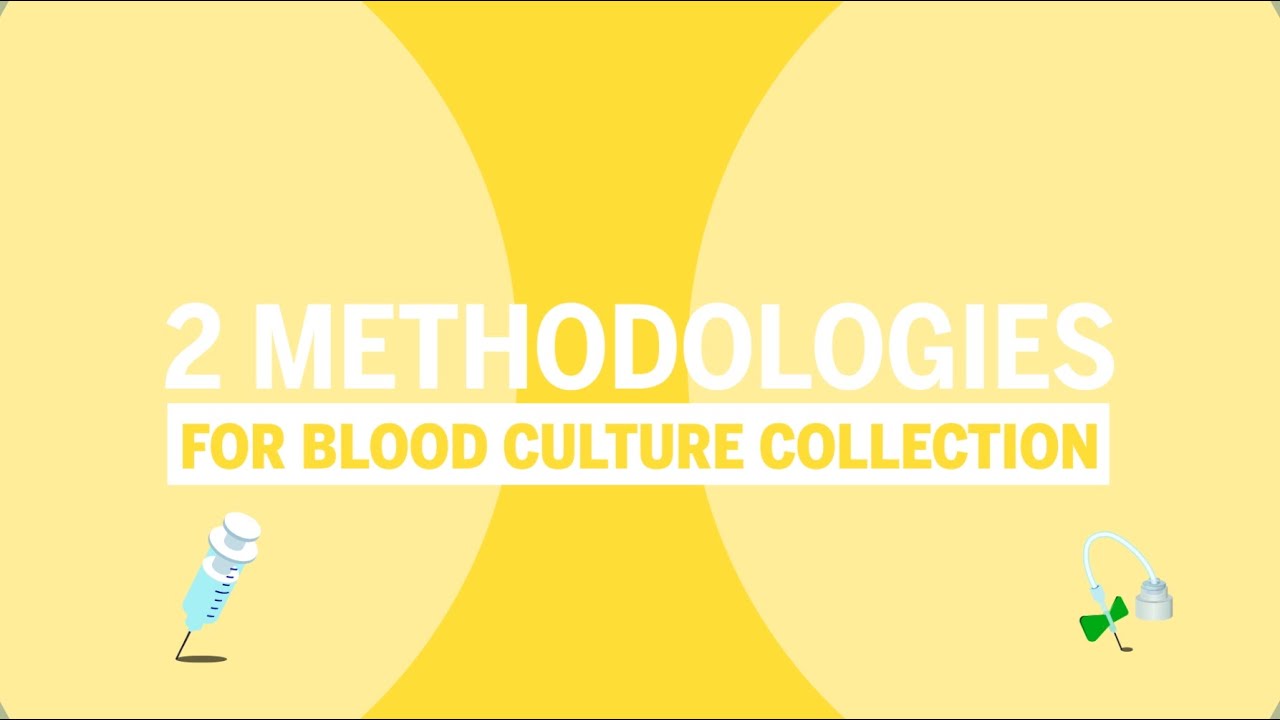 BLOOD CULTURE COLLECTION 2 METHODOLOGIES - YouTube