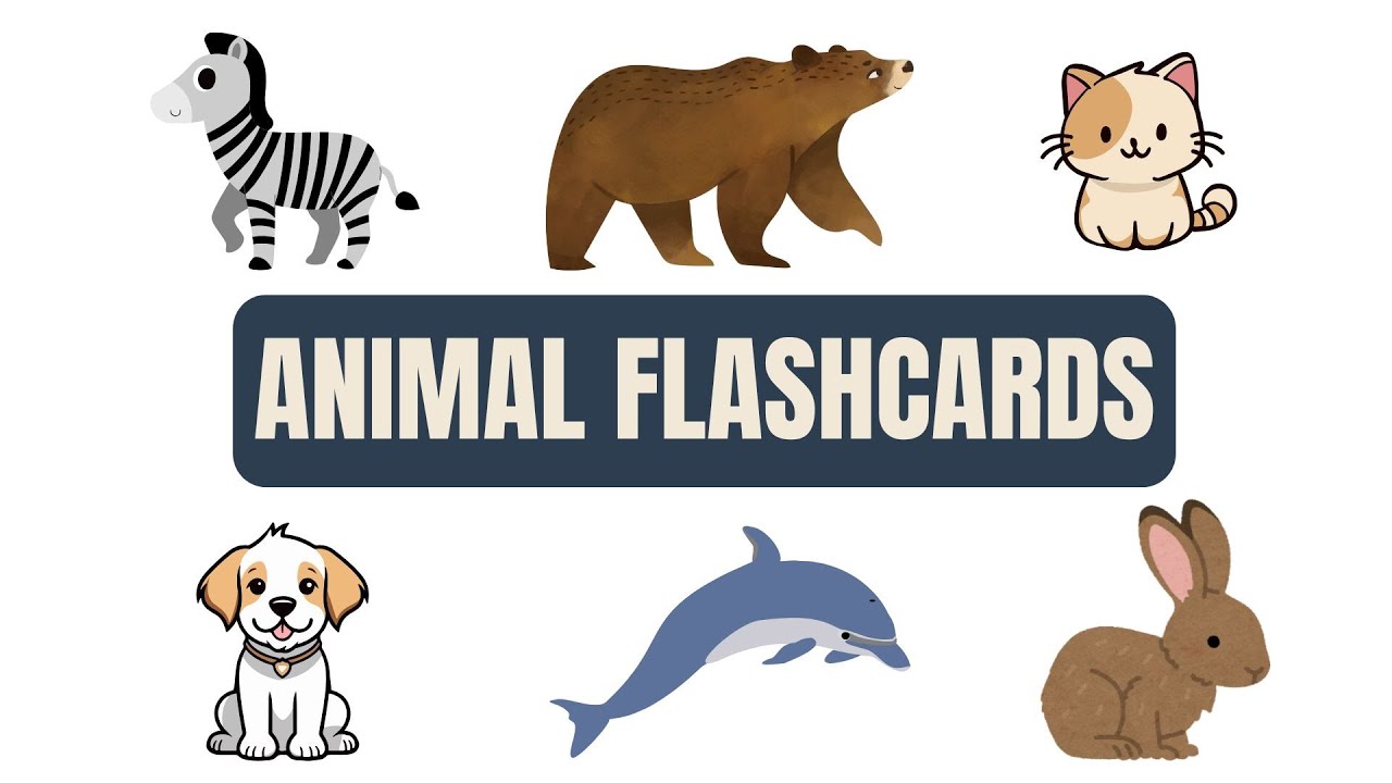 🦁🐶 Fun Animal Flashcards for Kids! | Learn Animal Names & Sounds ...