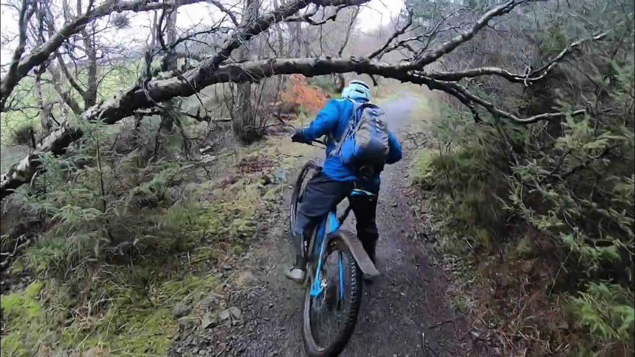 Mountain Biking at Canada Woods Falkirk - YouTube