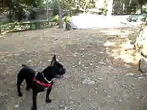 chelsea et son ptit paradis 5 - YouTube