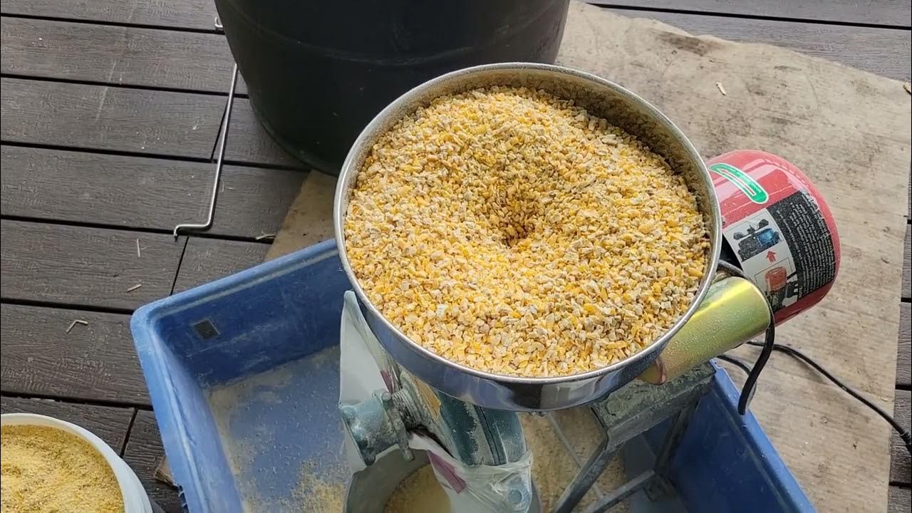 zom pob kws pub qaib os... - YouTube