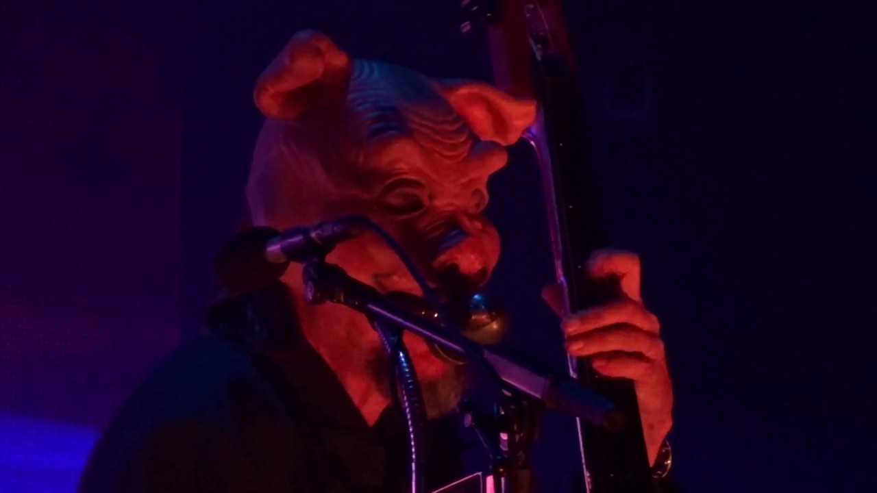 Primus Performing "Mr. Krinkle" Live At The Capitol Theatre, Port ...