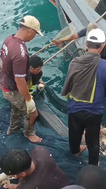 Panen ikan mahal di rumpon dangkal #fishing - YouTube