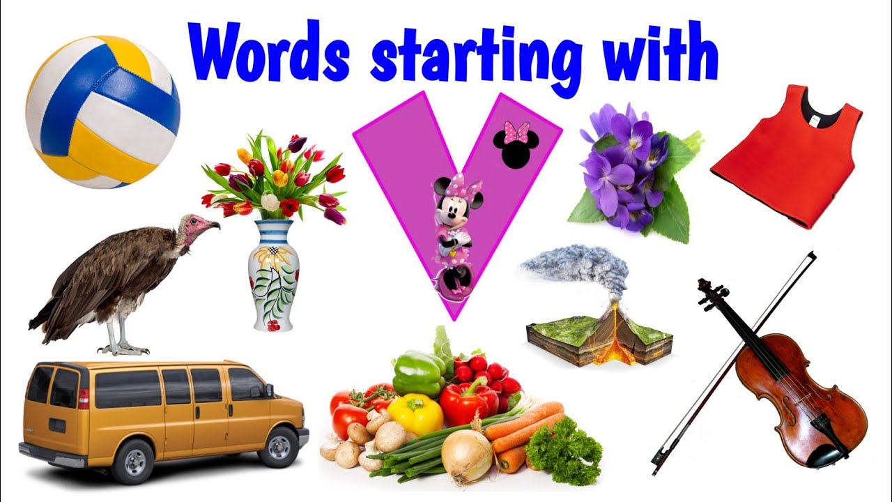 Words starting with V | letter V Words in English #kids #vocabulary # ...