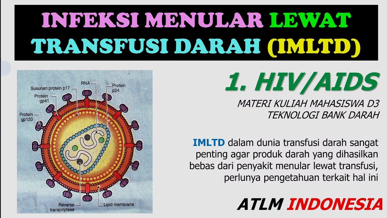 Infeksi Menular Lewat Transfusi Darah IMLTD HIV AIDS (Teknologi Bank ...