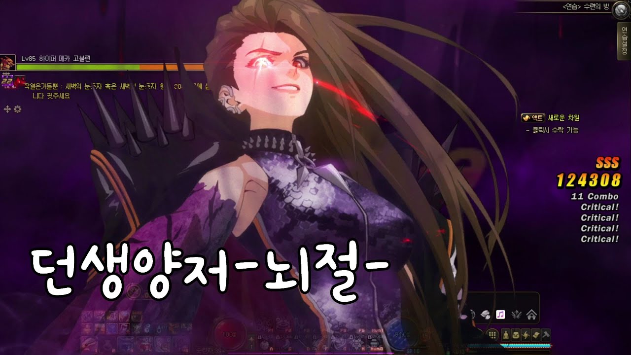 이기는 싸움을 추구하는 실전 격투가 여성 스트리트파이터 던생양저 뇌절 던전앤파이터 Youtube