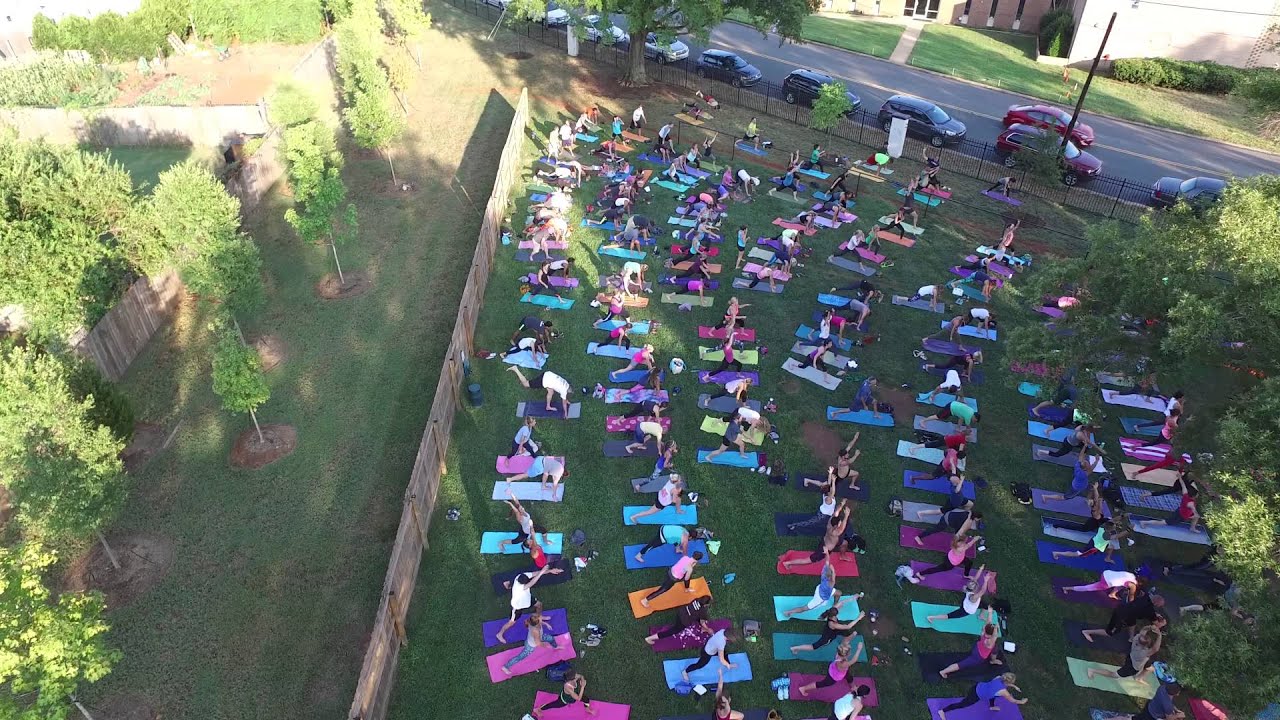 Yoga On Tap Ashley Hirsch's class Drone credit Patrick Magner - YouTube
