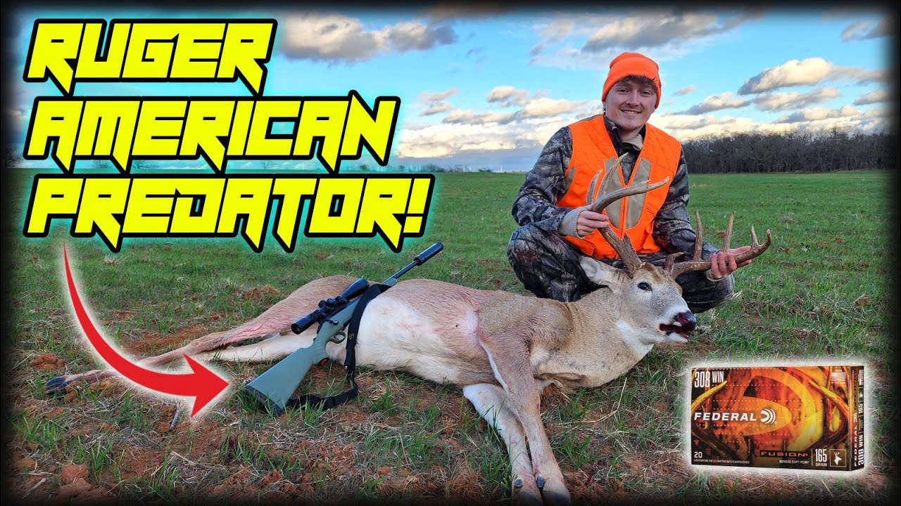 Deer Hunting with the Ruger American Predator! - YouTube