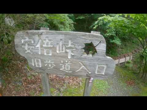 Mt  Ohpikkari, Shizuoka Pref. (05/06/2022) Short ver.