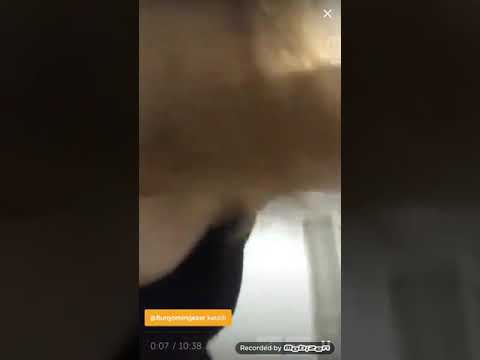 Periscope live streamin 15 (+18)