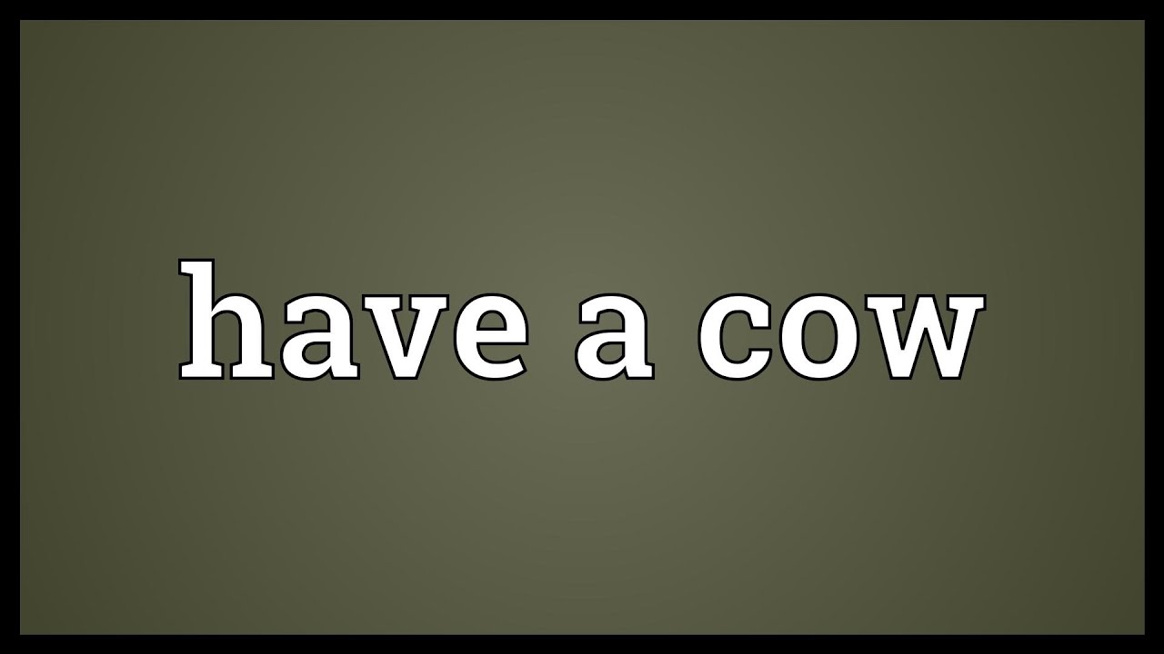 Have a cow Meaning - YouTube