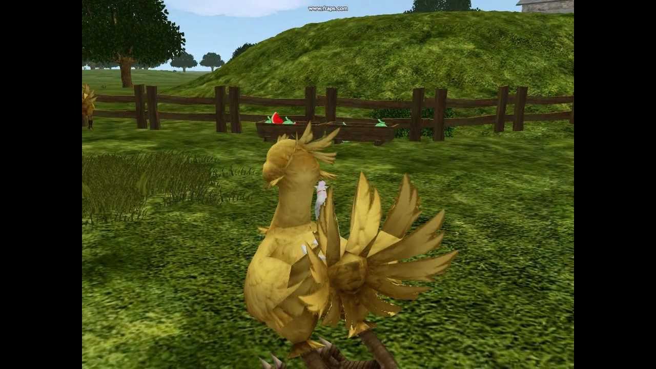 Feralheart chocobo ranch map download - YouTube