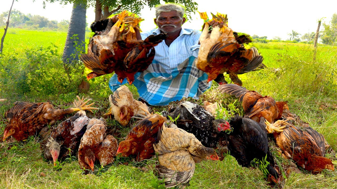 Country Chicken Gravy |10 Country Chicken prepared by uncle | food fun ...