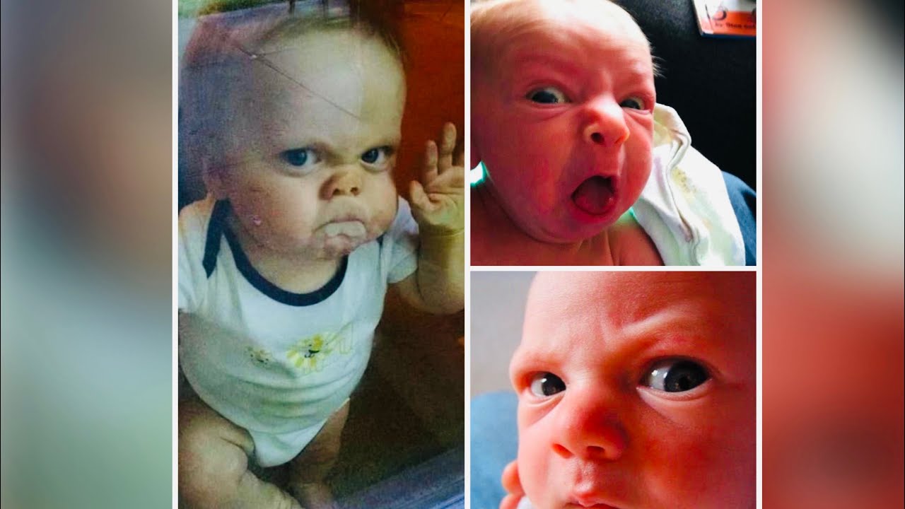Tiktok funny babies videos compilations/viral babies tiktok/funny ...